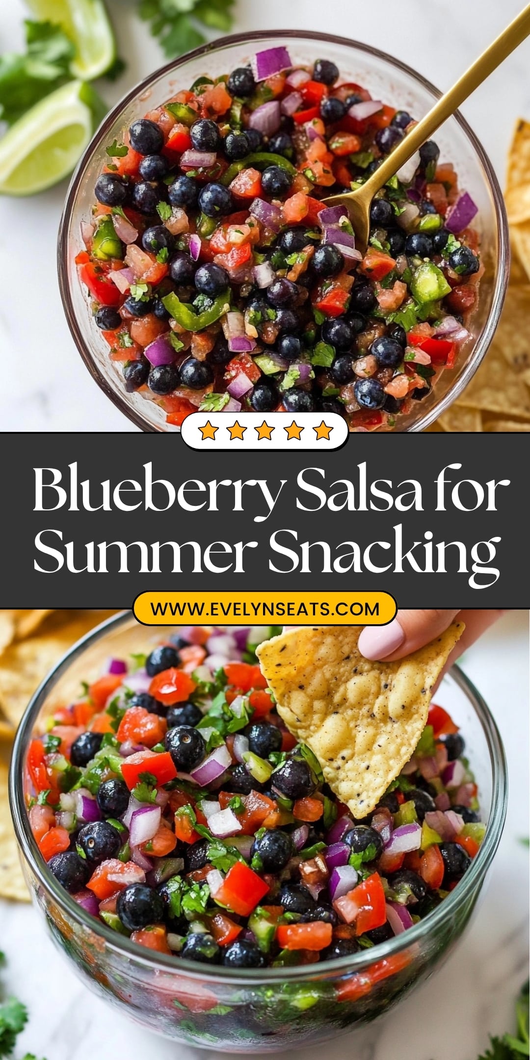 Zesty Blueberry Fiesta Recipe: Easy Summer Salsa with Blueberry ...